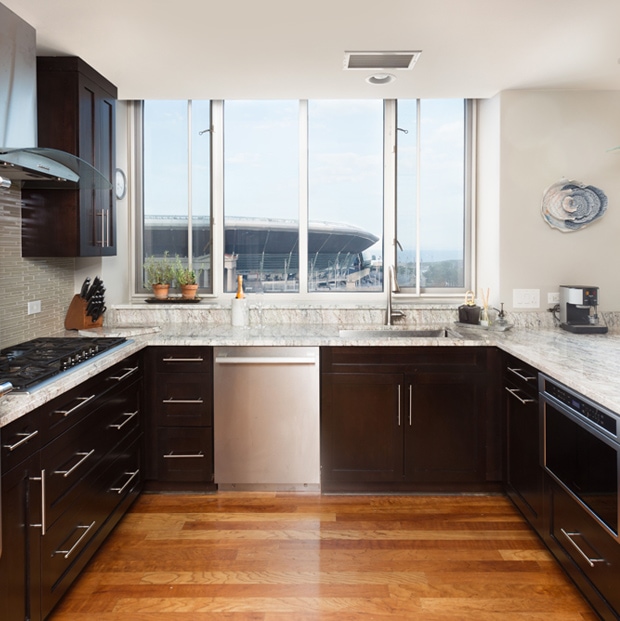 South Loop Kitchen - Chi Renovation & Design